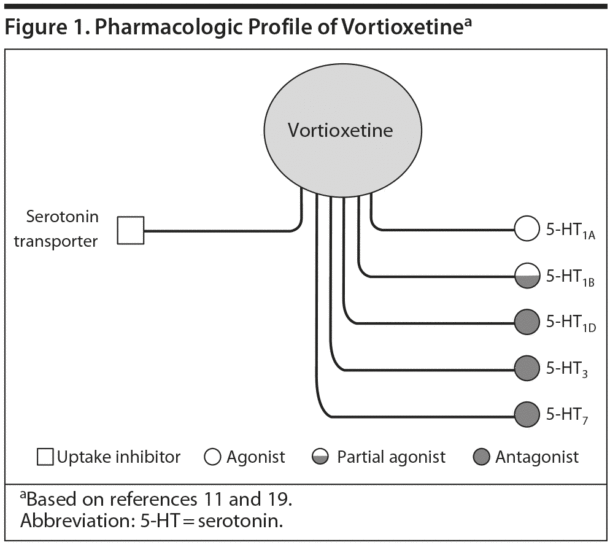 Chega ao Brasil a Vortioxetina, primeiro antidepressivo multimodal para ...
